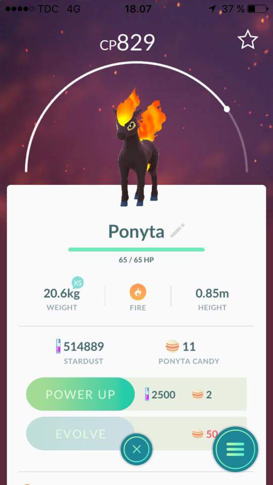 What is this Pokemon : r/pokemongo